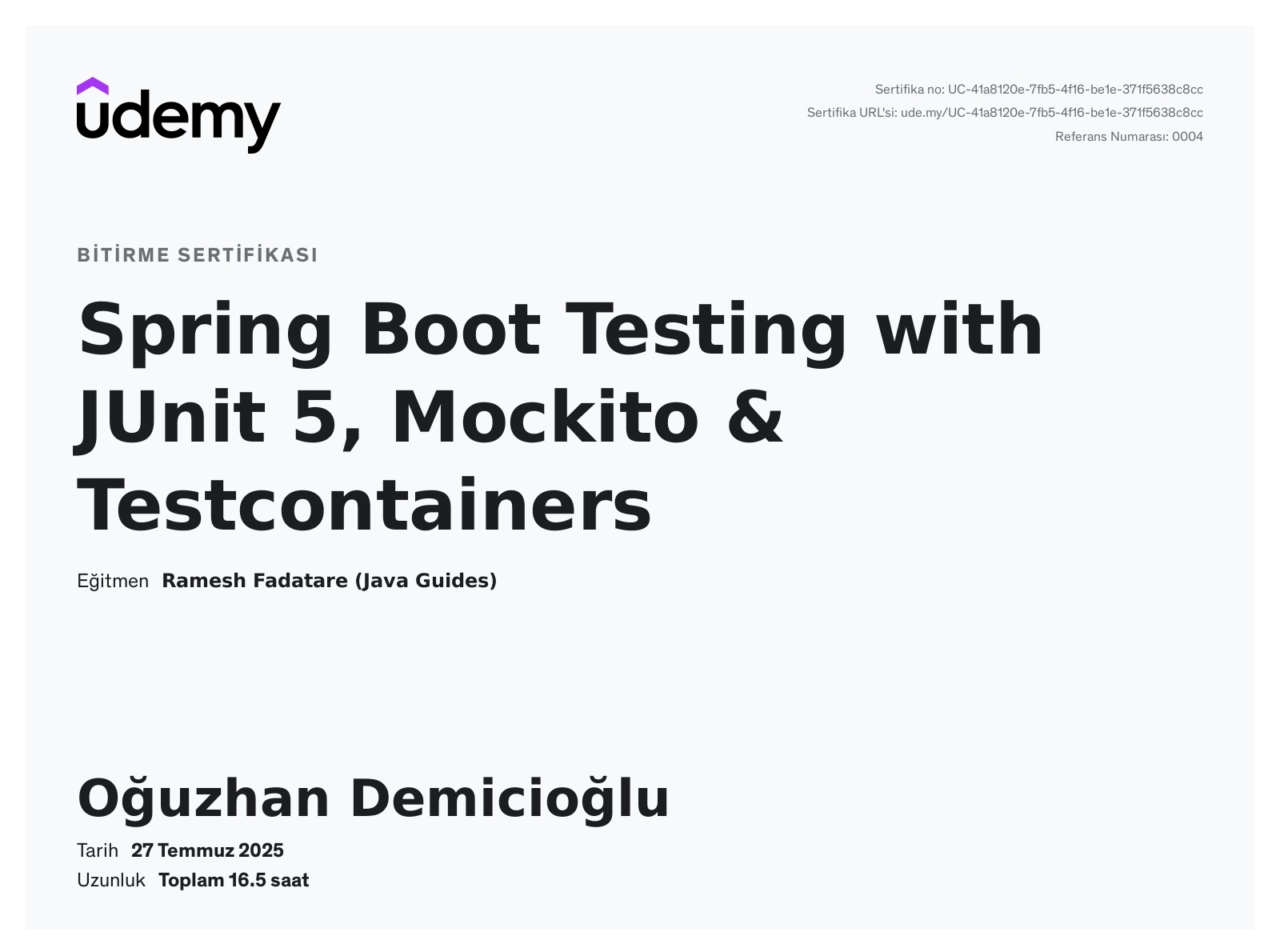 Oğuzhan Demircioğlu - Software Developer | Spring Boot, .Net, React, Angular | LinkedIn