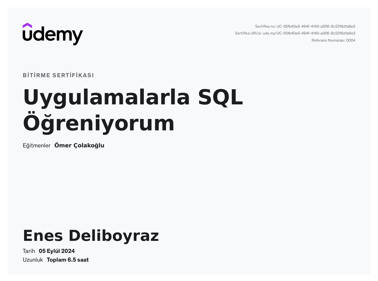 Enes Deliboyraz - Software Developer | LinkedIn