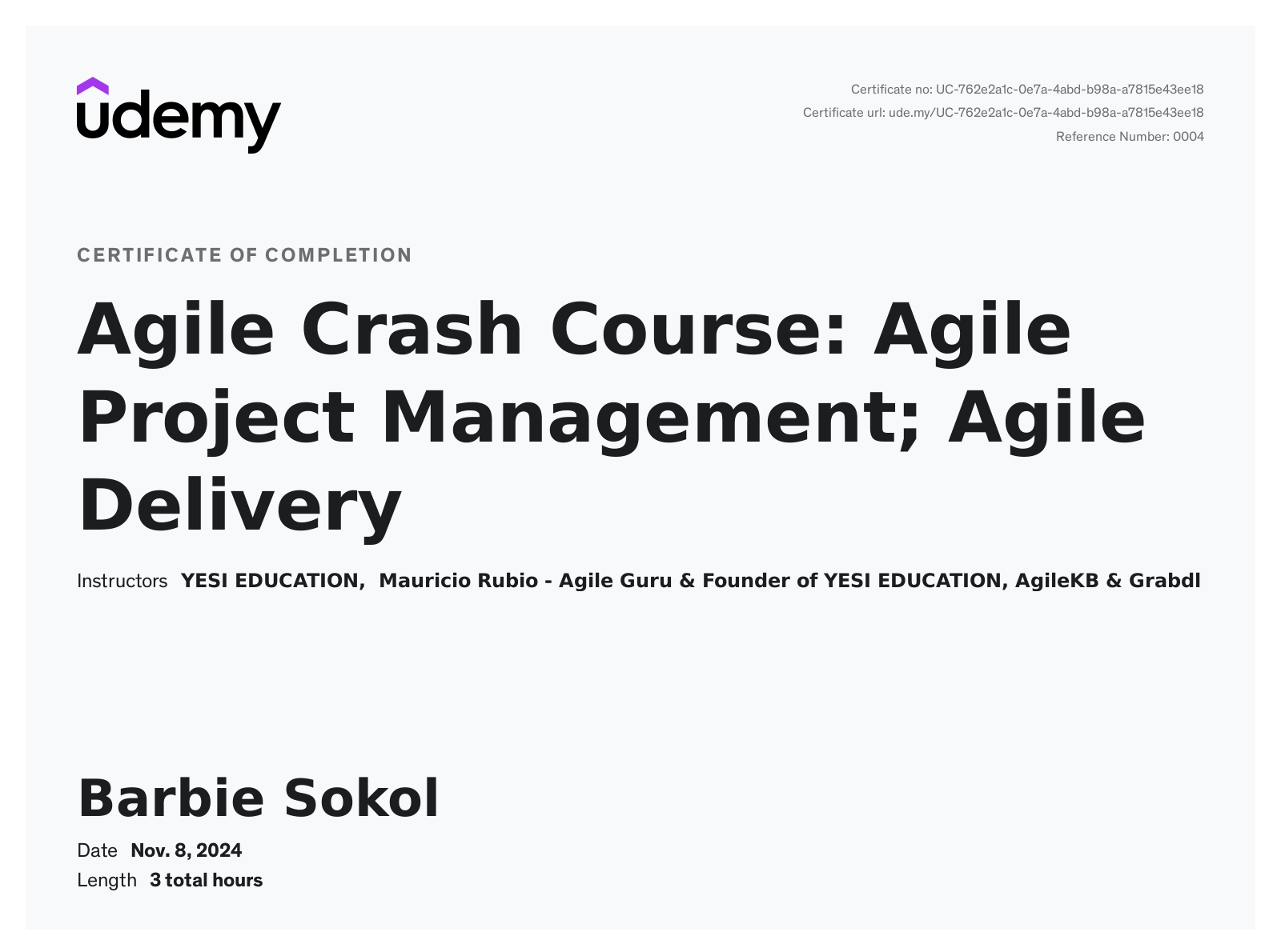 Barbie S. - Sr Principal Enterprise Architect at Infor(Lawson) (Remote ...