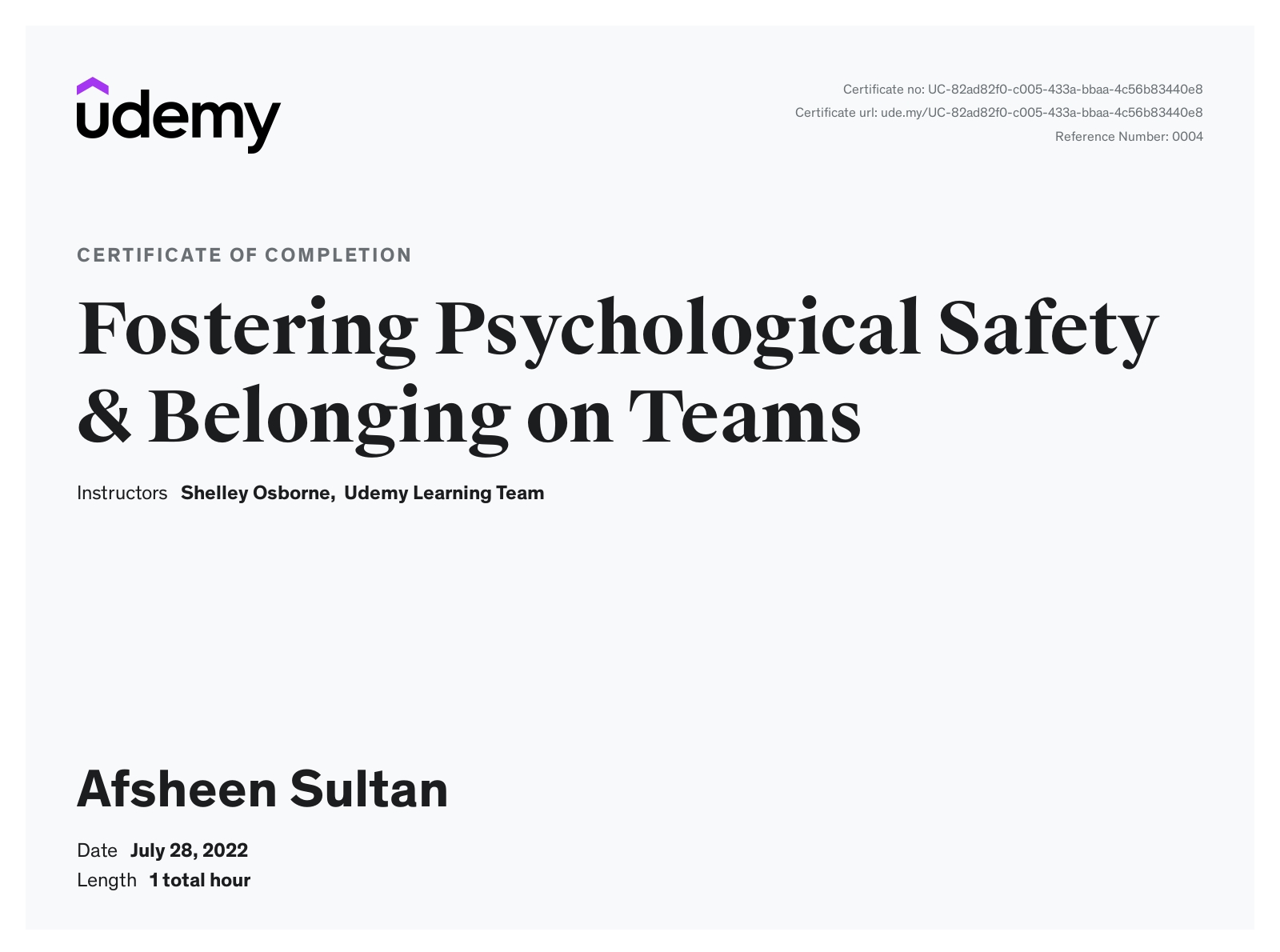 Afsheen Sultan - Summit EHSQ Inc. | LinkedIn