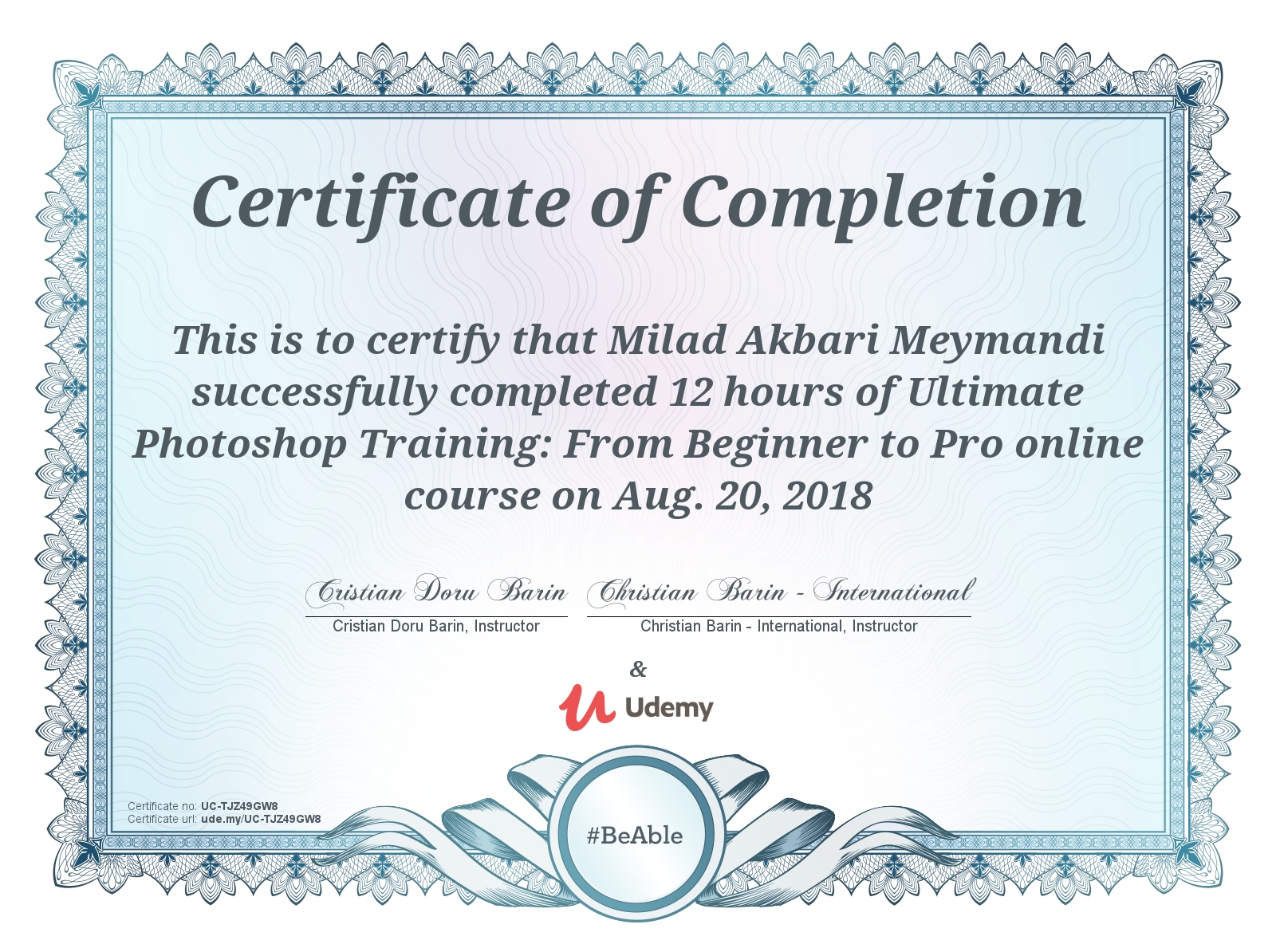 Milad Akbari Meymandi - Balıkesir, Türkiye | Profesyonel Profil | LinkedIn