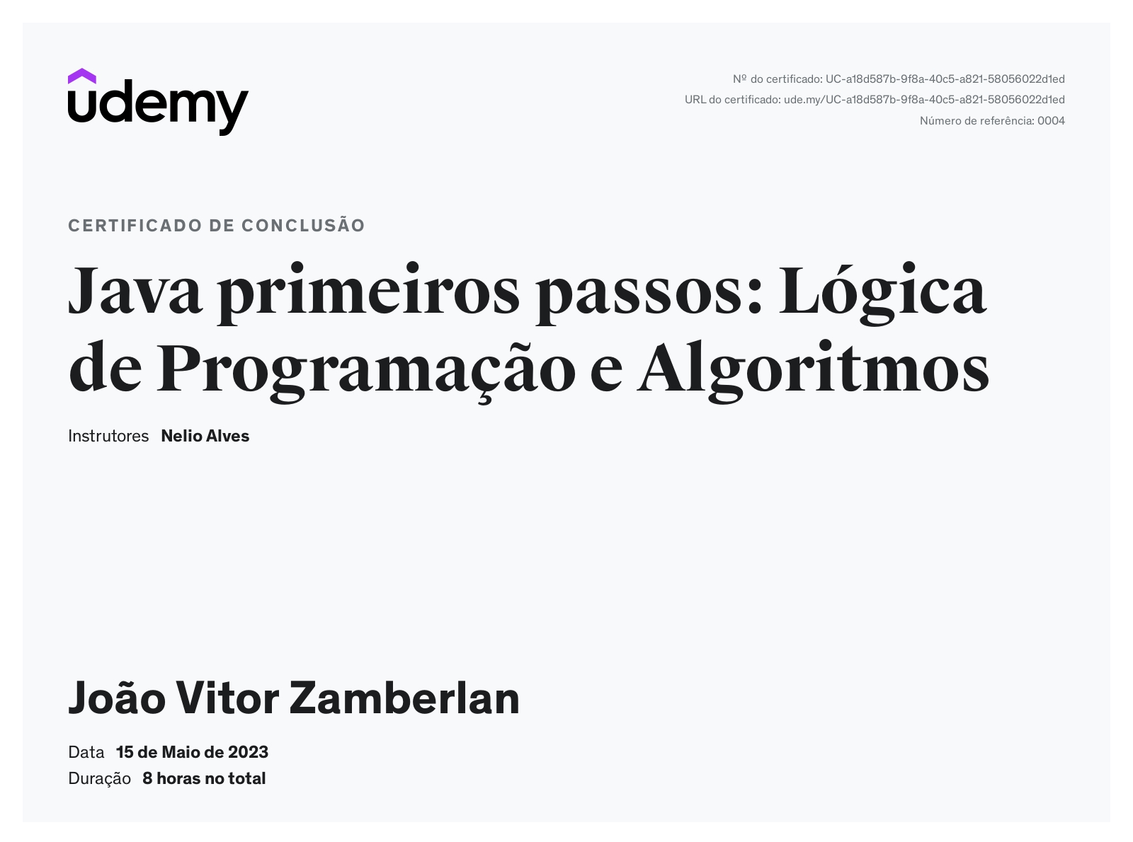 João Vitor Zamberlan - Desenvolvedor de Software | C# | .NET | SQL | Back-end | AI | LinkedIn
