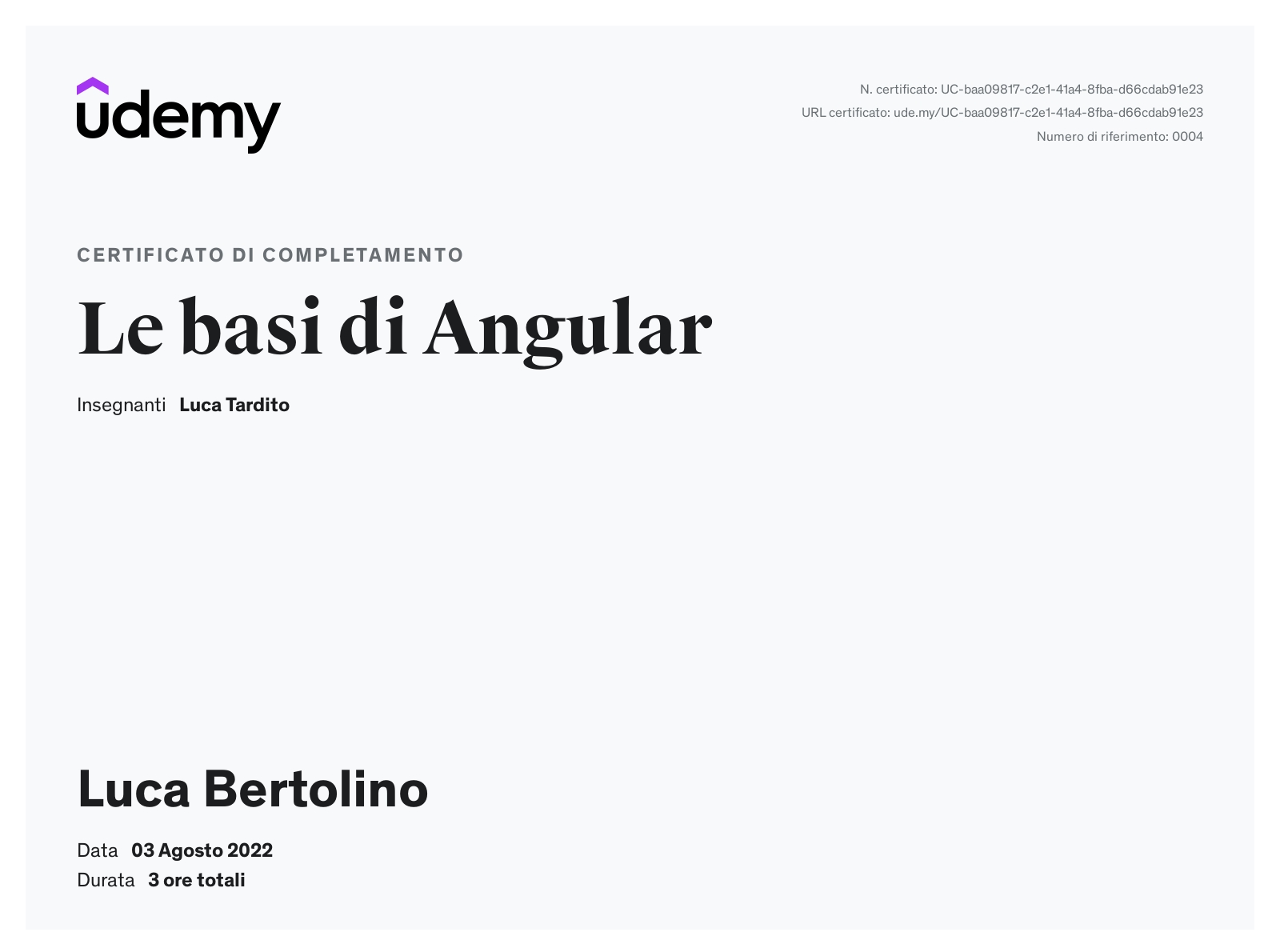 Luca Bertolino - Software Developer | LinkedIn