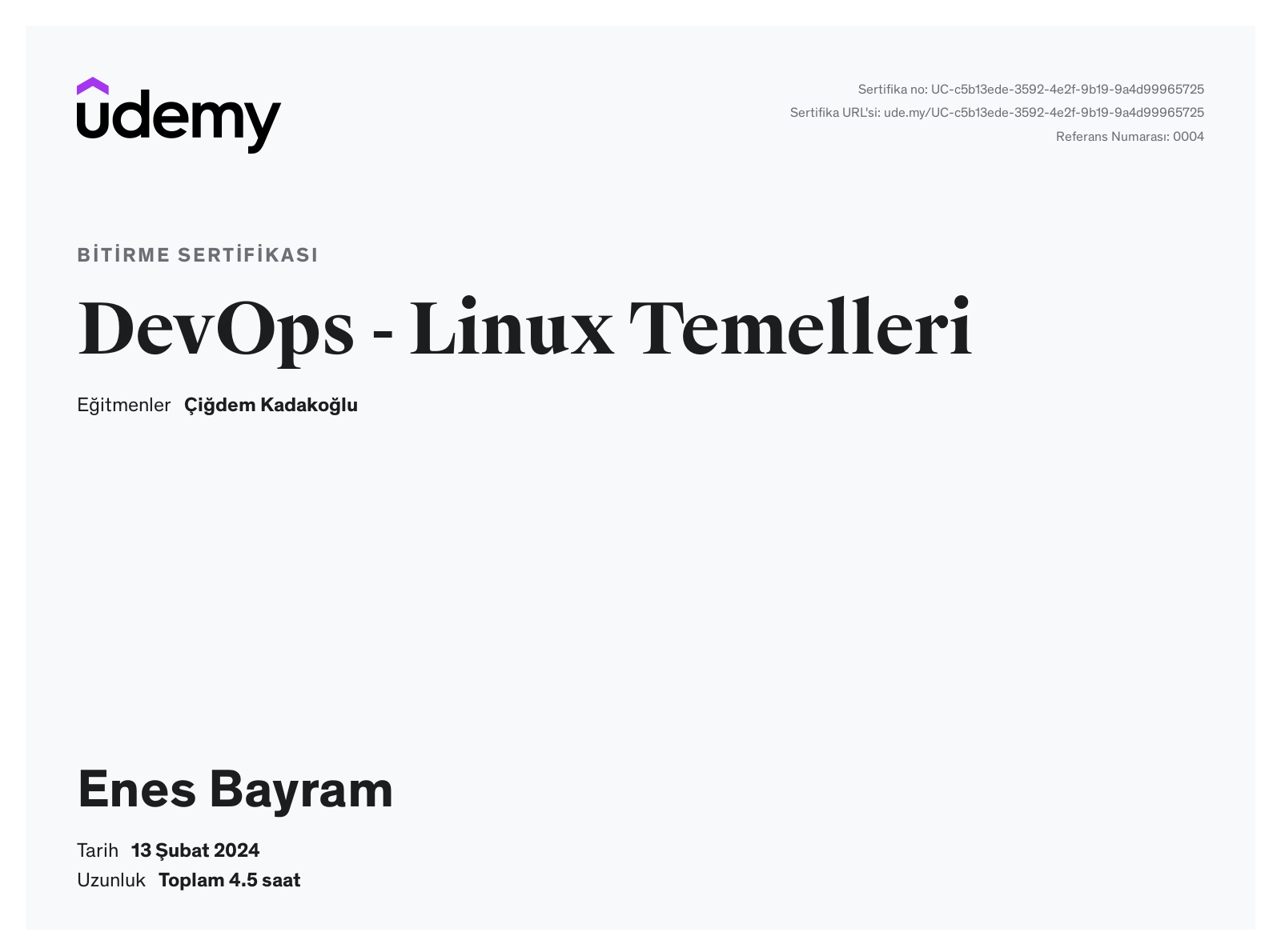 Enes Bayram - İstanbul, Türkiye | Profesyonel Profil | LinkedIn