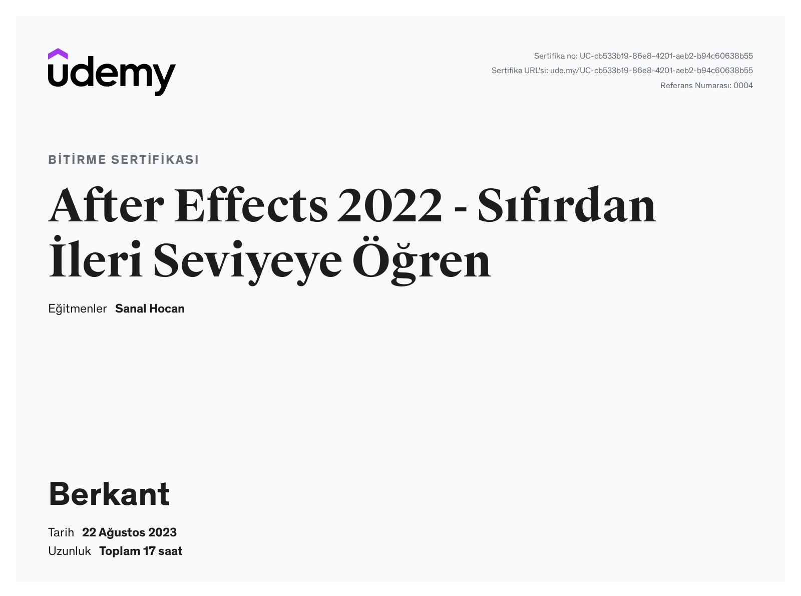 Berkant Gezgil - Genel Müdür Yardımcısı - HC Bilişim | LinkedIn