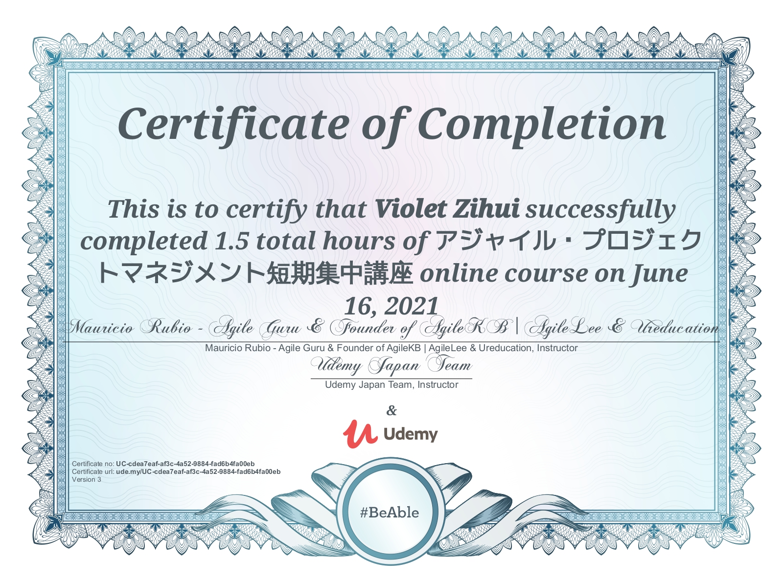 Violet Lau - BMW Group | LinkedIn