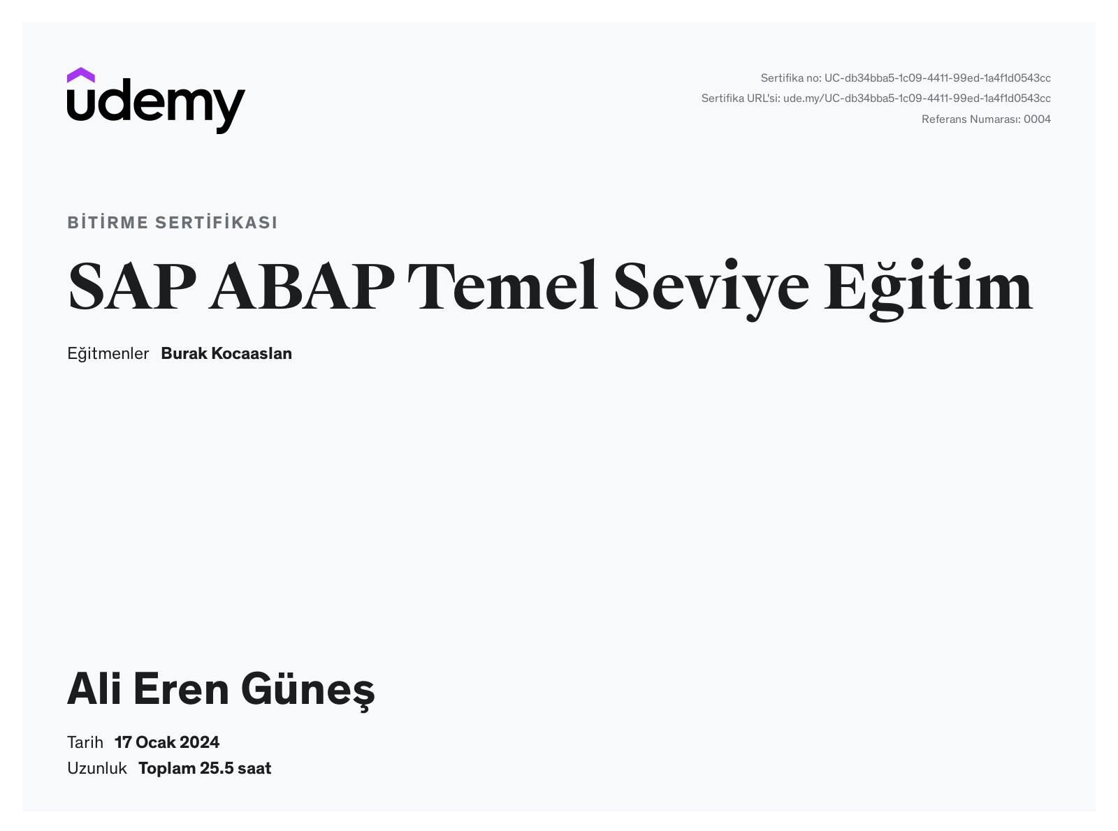 Ali Eren Güneş - SAP Ariba Consultant | SAP YPP | LinkedIn