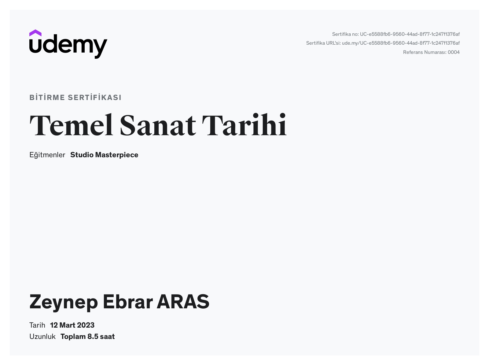 Zeynep Ebrar Aras - International Relations | Board Member at Foreign ...