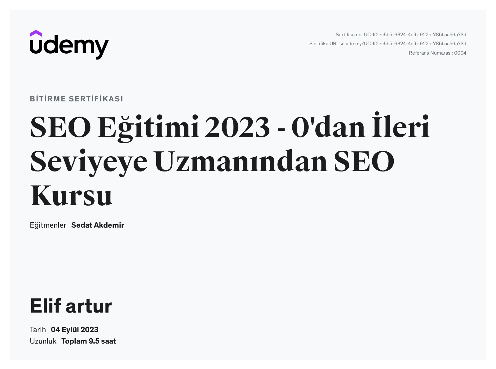 Elif Artur - Industrial Engineering Student | LinkedIn